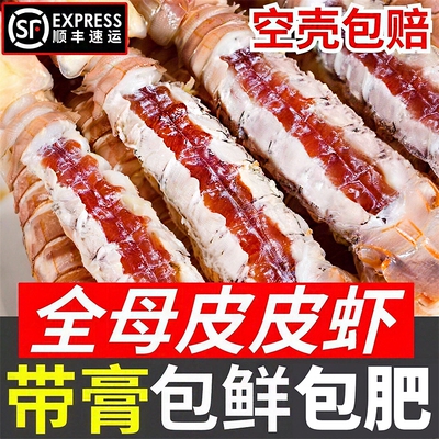 皮皮虾鲜活冷冻特大全母带膏带籽虾爬子椒盐即食海虾海鲜水产新鲜