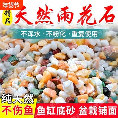 天然雨花石五彩石五花石铺底砂多肉铺面石鹅卵石造景鱼缸彩色石子
