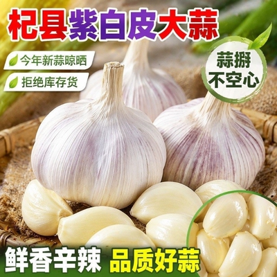 河南农家自种大蒜杞县直发
