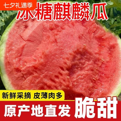 【顺丰-京东生鲜特快】头茬新鲜麒麟西瓜美都8424无籽有籽精品瓜