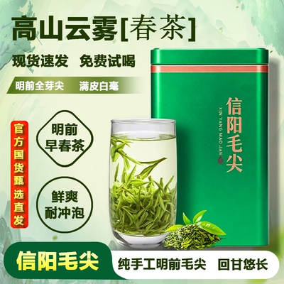 2026明前新茶正宗信阳毛尖特级茶
