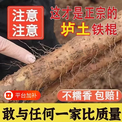 河南焦作铁棍山药新鲜淮山药温县正宗铁杆山药现挖山药怀山药