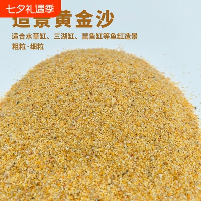 黄金沙南美缸三湖缸鼠鱼缸