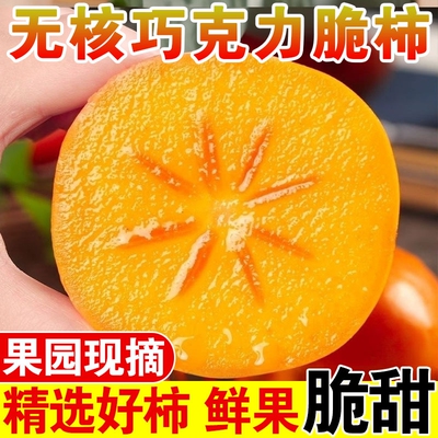 巧克力脆柿子9斤新鲜水果孕妇脆甜硬柿子应当季火晶黄甜柿子包邮