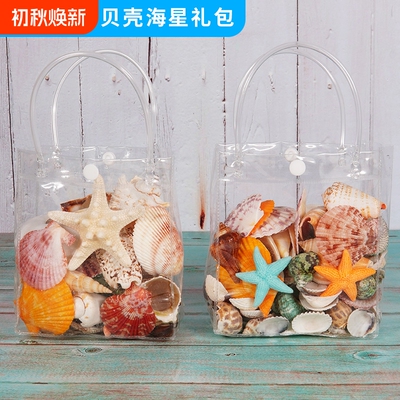天然贝壳海螺壳摆件海星鱼缸地台造景儿童玩具礼物包邮收藏礼品