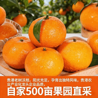 沃柑当季新鲜老树花皮水果