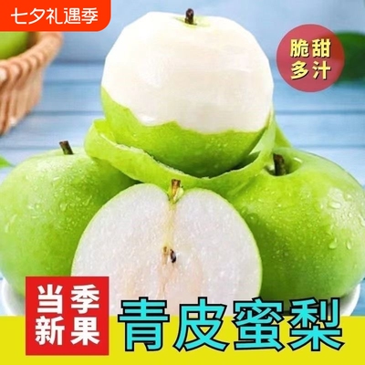 酥脆砀山青梨10斤|超2000次加购