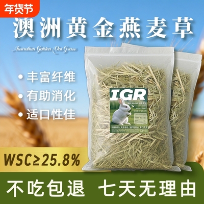 澳麦草黄金燕麦草兔子食用进口专用干草豚鼠荷兰猪龙猫草料兔饲料