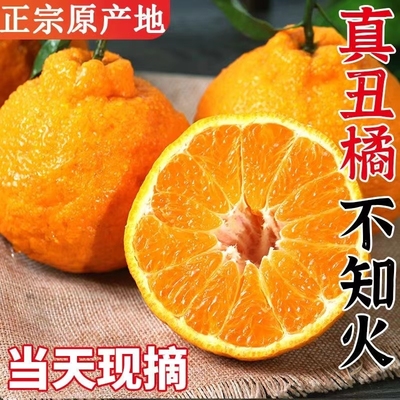 正宗四川不知火丑橘应当季新鲜水果耙丑八怪橘子耙柑桔子整箱包邮