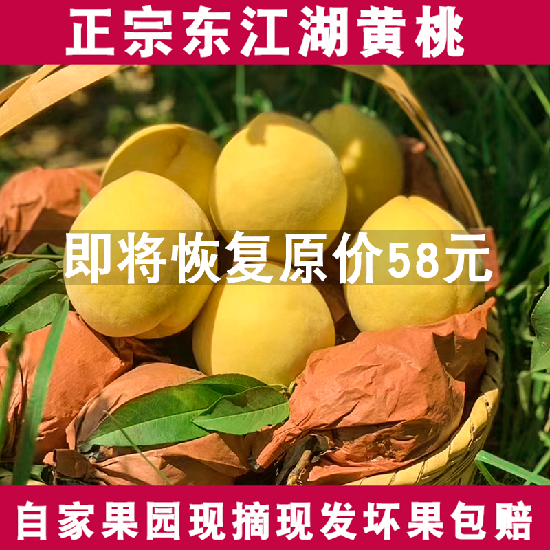 正宗东江湖黄桃新鲜现摘当季应季水果高山红心桃湖南桃子孕妇毛桃