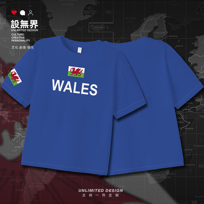 威尔士Wales男女童装国家落肩T恤