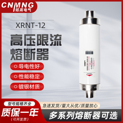 200ASKLAJ-10KV户内高压限流熔断器XRNT1-12/160A-250A变压器使用