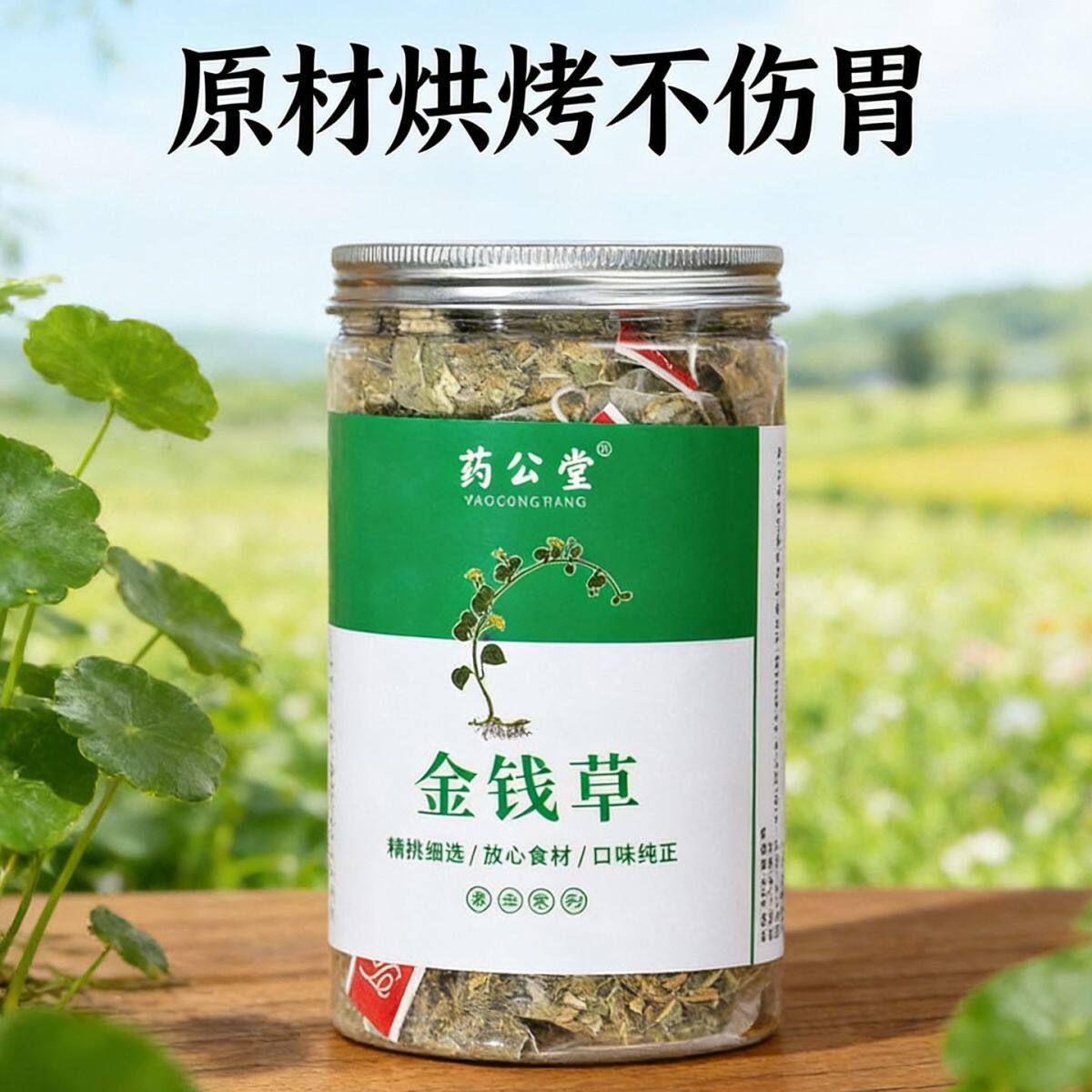深山野生金钱草独立茶包泡水茶广西大叶金钱草草养生茶烘烤不伤胃