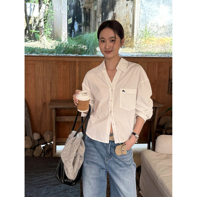 TG 日常不刻板 质感匹马棉长袖V领显瘦小刺绣衬衫女2026春款26416