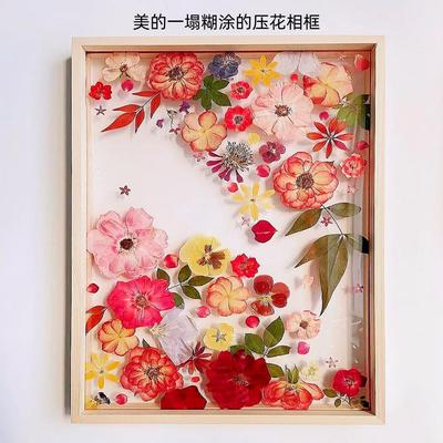 树叶标本画框立体创意双面透明玻璃植物手工Diy压花木质相框摆台