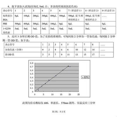 G250染色液考马斯亮蓝快速染色液脱色BSA牛血清白蛋白V蛋白质检测