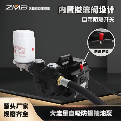 防爆抽油泵12V24V220伏汽油泵