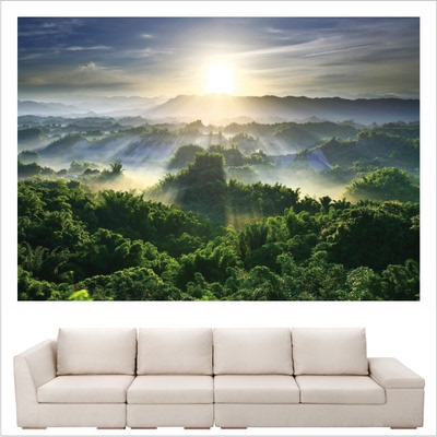 森林日出图森林树木大自然风景画