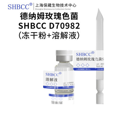 SHBCC德纳姆玫瑰色菌冻干粉现货