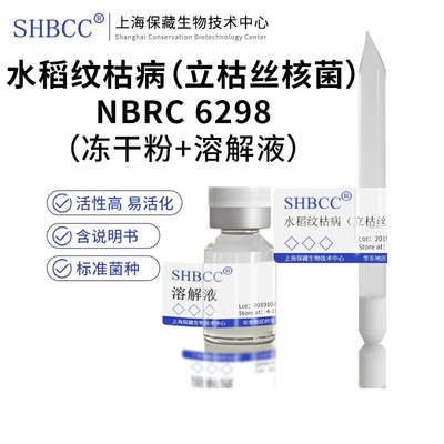 水稻纹枯病立枯丝核菌NBRC6298