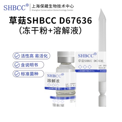 草菇SHBCCD67636非模式菌株