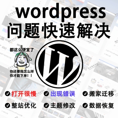 wordpress问题解决/搭建/迁移协助/网站出现错误