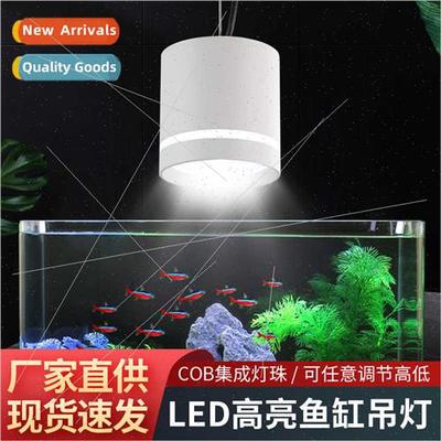 Fish aquarium aquatic grass downlight color changing adjusta