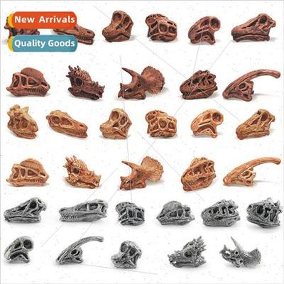 Children Early Learning Cognive Fossil  Wild Prehistoric Mam