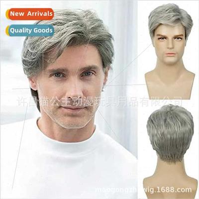 Europe Men Gray Wigs Handsome Parted Chemical Fiber Roses In