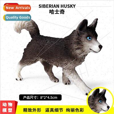 Static solid wild animal model husky pet dog children handma