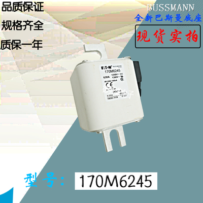 170M6244质保一年170M6245库存全新热卖供应巴斯曼熔断器现货直销