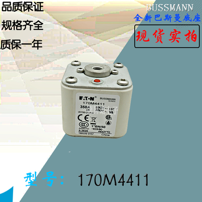 BUSSMANN170M4411保险丝熔断器