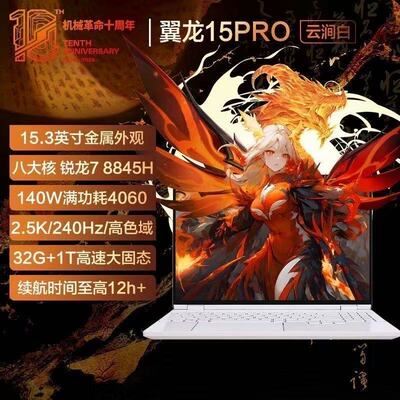 MECHREVO机械革命翼龙15Pro240HZ