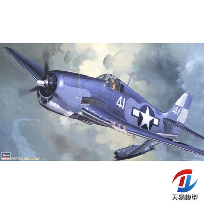 长谷川塑料拼装模型静态飞机