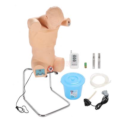 CK812背部（胸部）穿刺训练模型