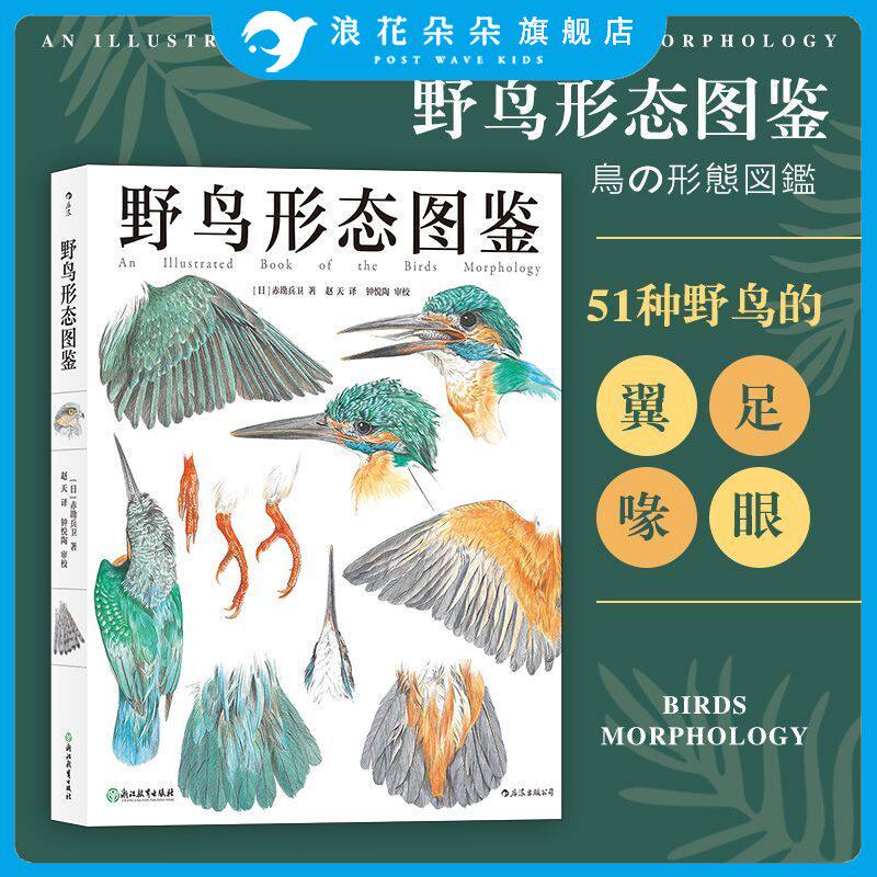 后浪浪花朵朵官方正版  野鸟形态图鉴 鸟类观察 儿童科普博物学科学绘画自然保育书籍