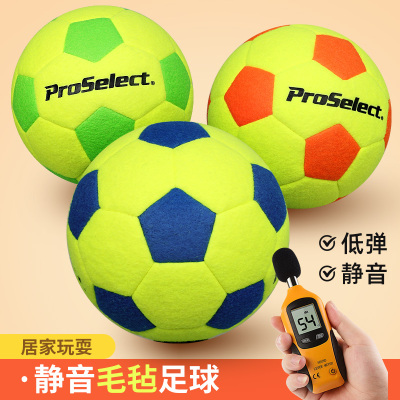 ProSelect专选足球儿童训练室内