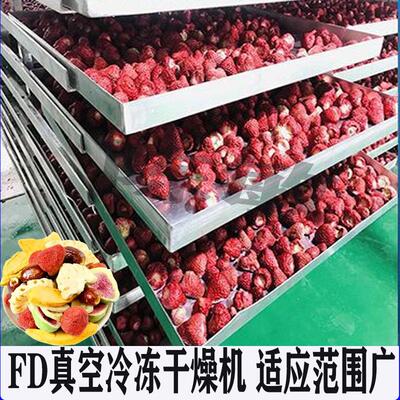 草莓真空冻HFD-0干机 空食品物制品干燥设备 生山楂真低温干燥机