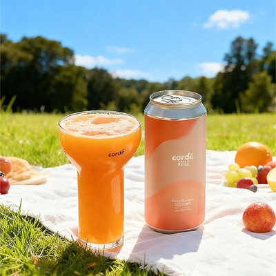 和弦酿造 砂糖橘/冰镇大西瓜/风之子/海鸥精酿啤酒