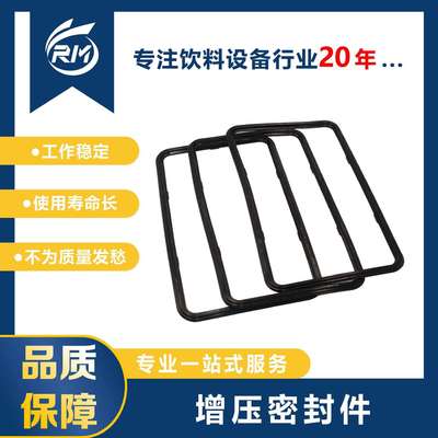 增压密封件/MJAA.06.00-09