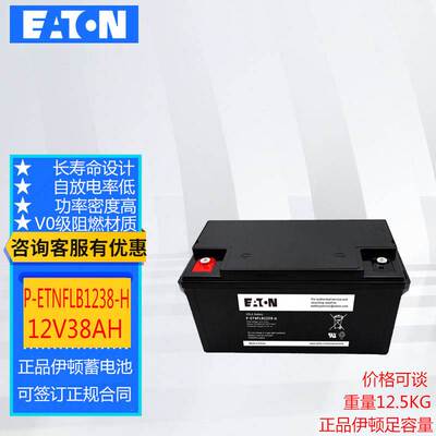 伊顿UPS蓄电池P-ETNFLB1238-H 12V38 65 100 150 200 250AH免维护