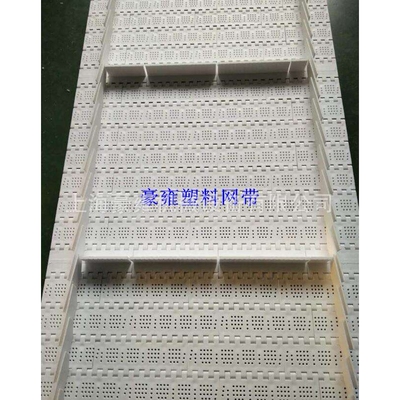 OPB圆孔塑料网带加档板型微波设备裙边输送带抗紫外线输送网带