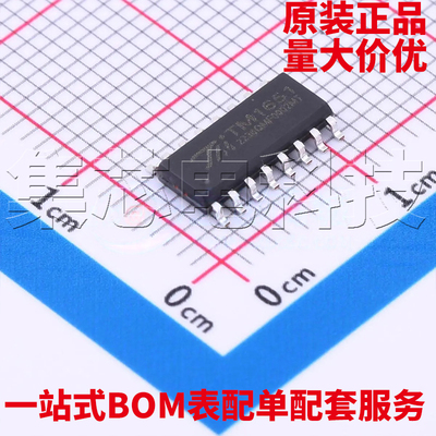 TM1651(TA2007)SOP-16原装芯片