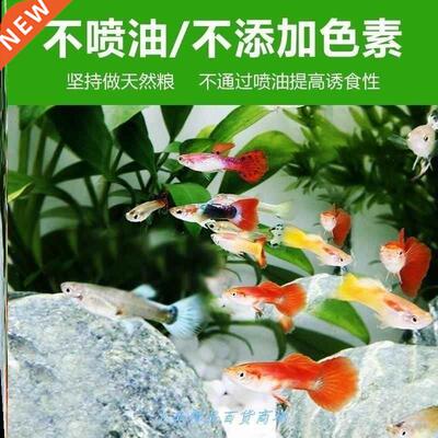 guppy feed betta fish food small tropical fish goldfish ta