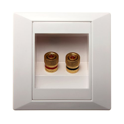 5x 2 Jack Speaker banana plug Wall Socket Connection Port