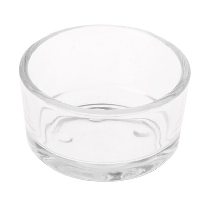 New Reptile Feeder Water Food Glass Bowl Cup Lizard Turtle C