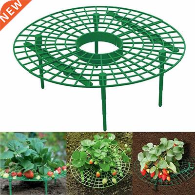 1 Pcs Round Plastic Strawberry Stand Balcony Grow Vegetables