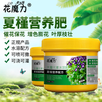 夏槿肥料夏堇营养肥花公草花瓜草蝴蝶草蓝猪耳地栽盆栽催花促长肥