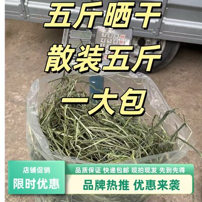 甘肃定西岷县晒干提摩草料2500g
