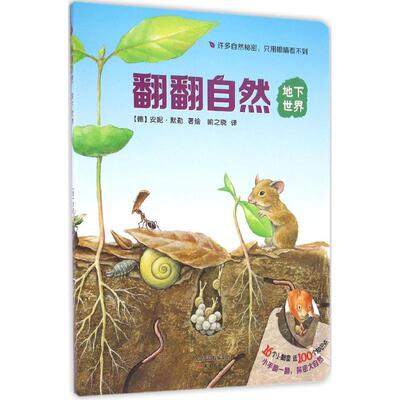 【正版书】 地下世界 (德)安妮·默勒 著绘,喻之晓 译 新蕾出版社